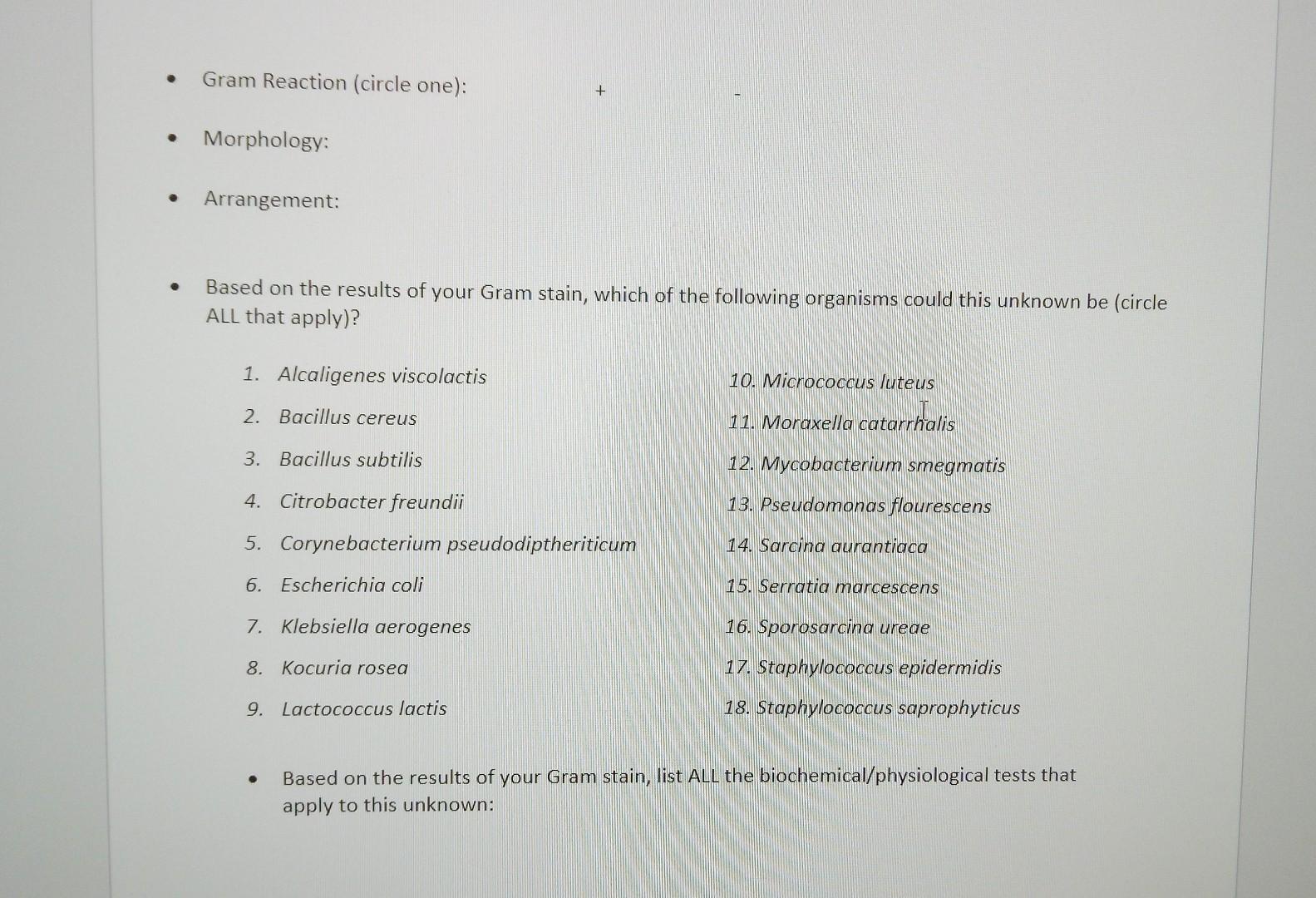 Based on the results of your Gram stain, which of | Chegg.com