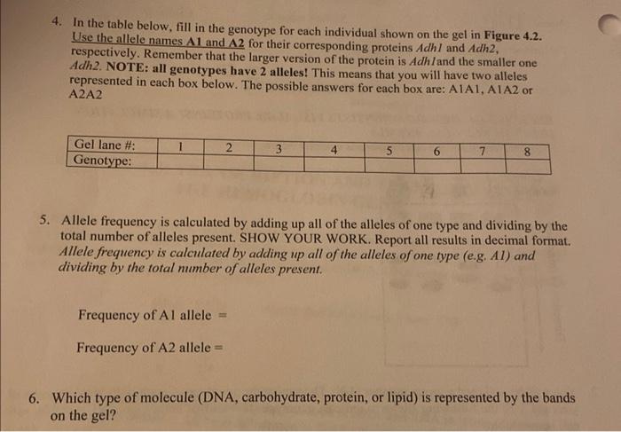 Solved 4. In the table below, fill in the genotype for each | Chegg.com
