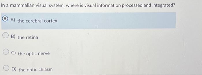 Solved In a mammalian visual system, where is visual | Chegg.com
