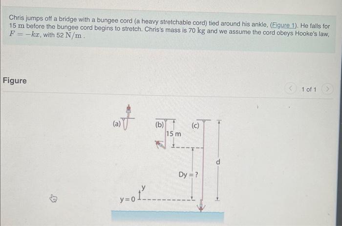 Solved Chris jumps off a bridge with a bungee cord (a heavy | Chegg.com