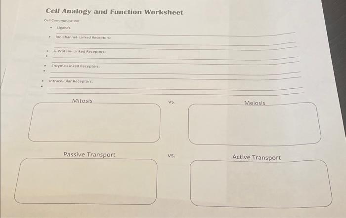 Solved Cell Analogy and Function Worksheet Cell Analogy and | Chegg.com