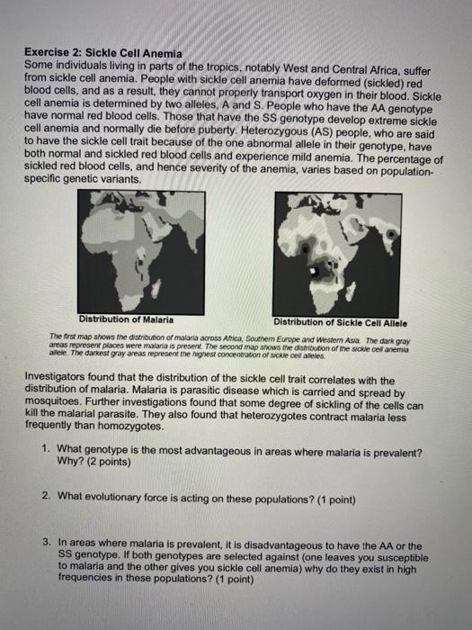 Solved Lab 4: Modern Human Variation Exercise 1: Concept | Chegg.com