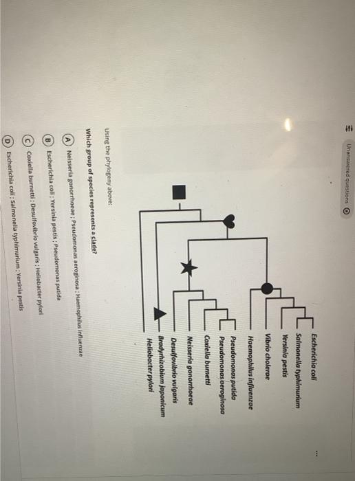 Using the phylogeny above: Which group of species | Chegg.com