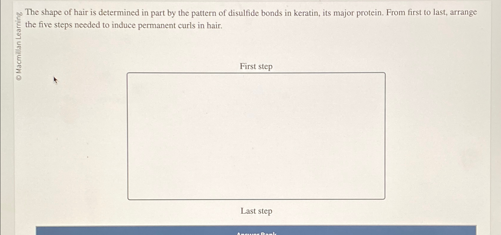 Solved The shape of hair is determined in part by the | Chegg.com