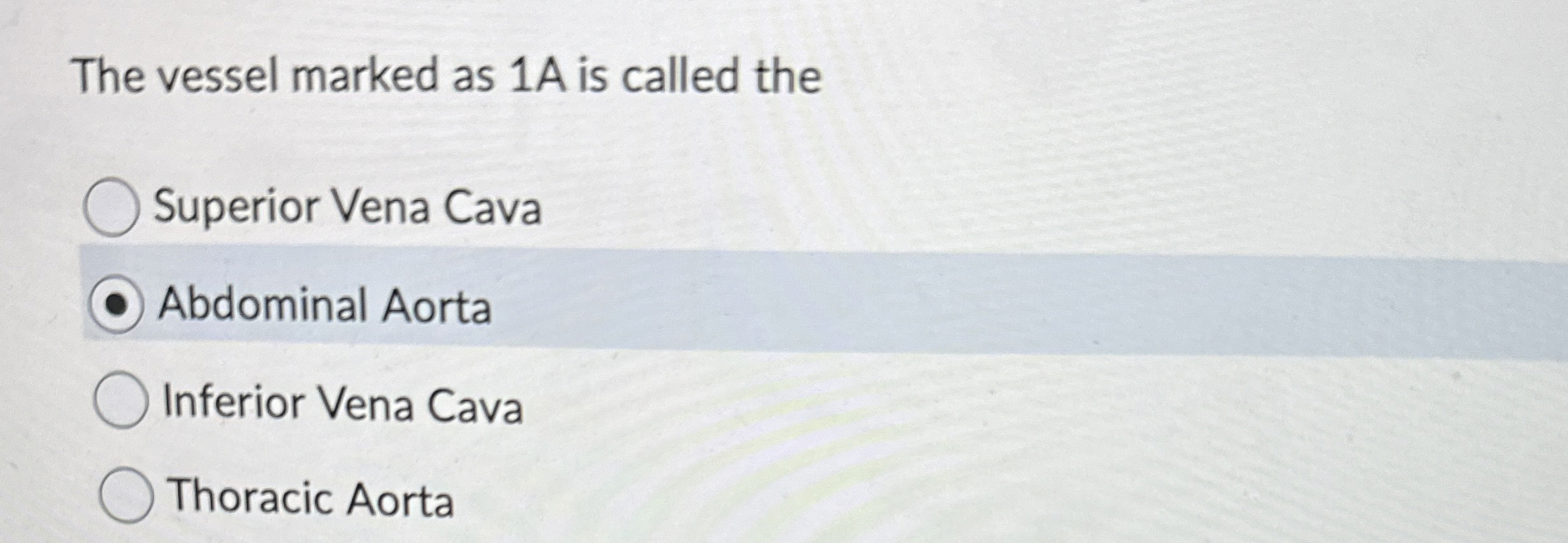 Solved The vessel marked as 1 ﻿A is called theSuperior Vena | Chegg.com