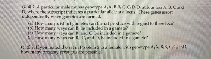 (4, 4) 2. A particular male rat has genotype A A, | Chegg.com