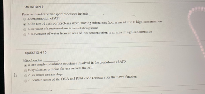 Solved QUESTIONS Passive membrane transport processes | Chegg.com