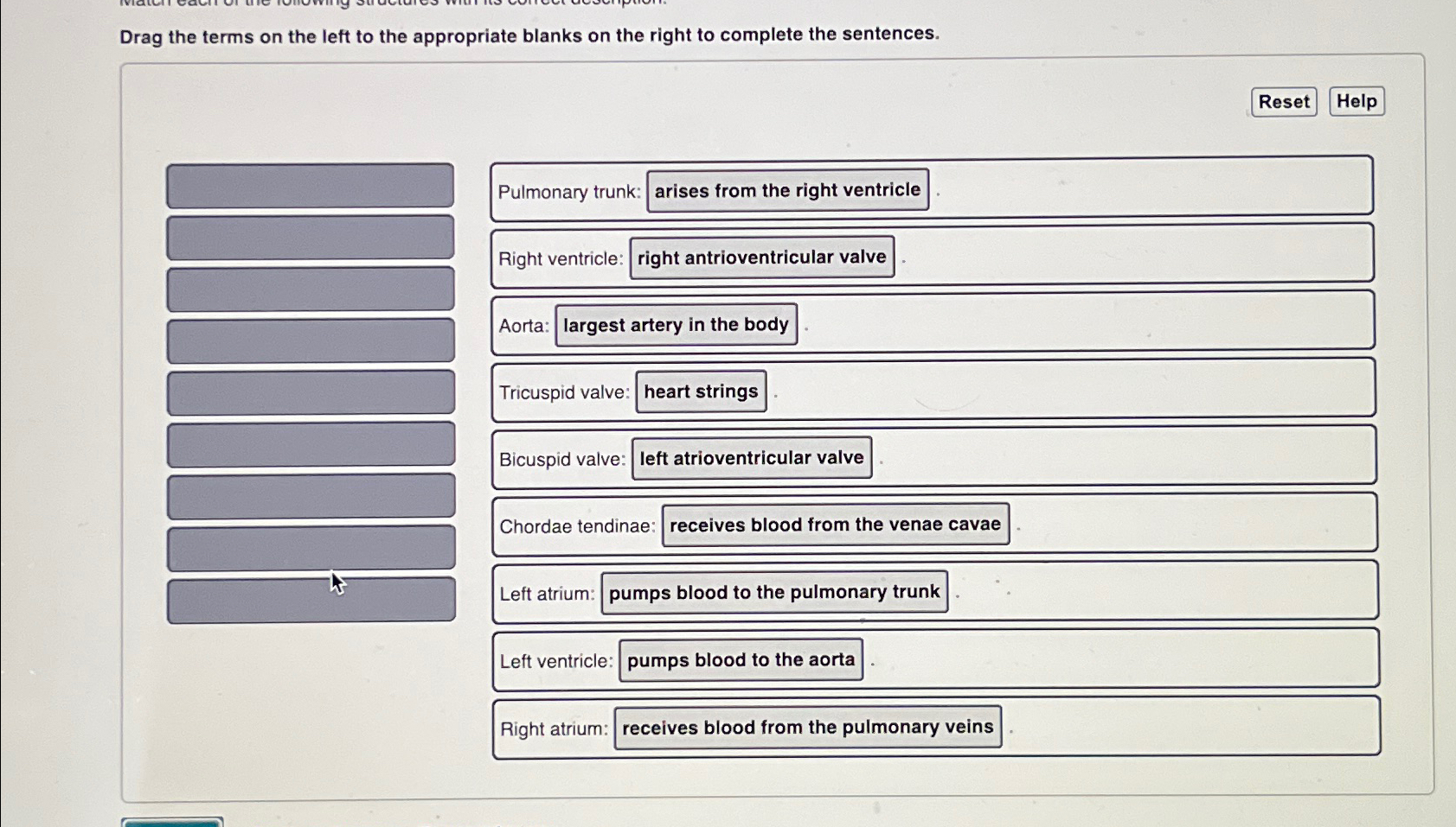 Solved Drag the terms on the left to the appropriate blanks | Chegg.com