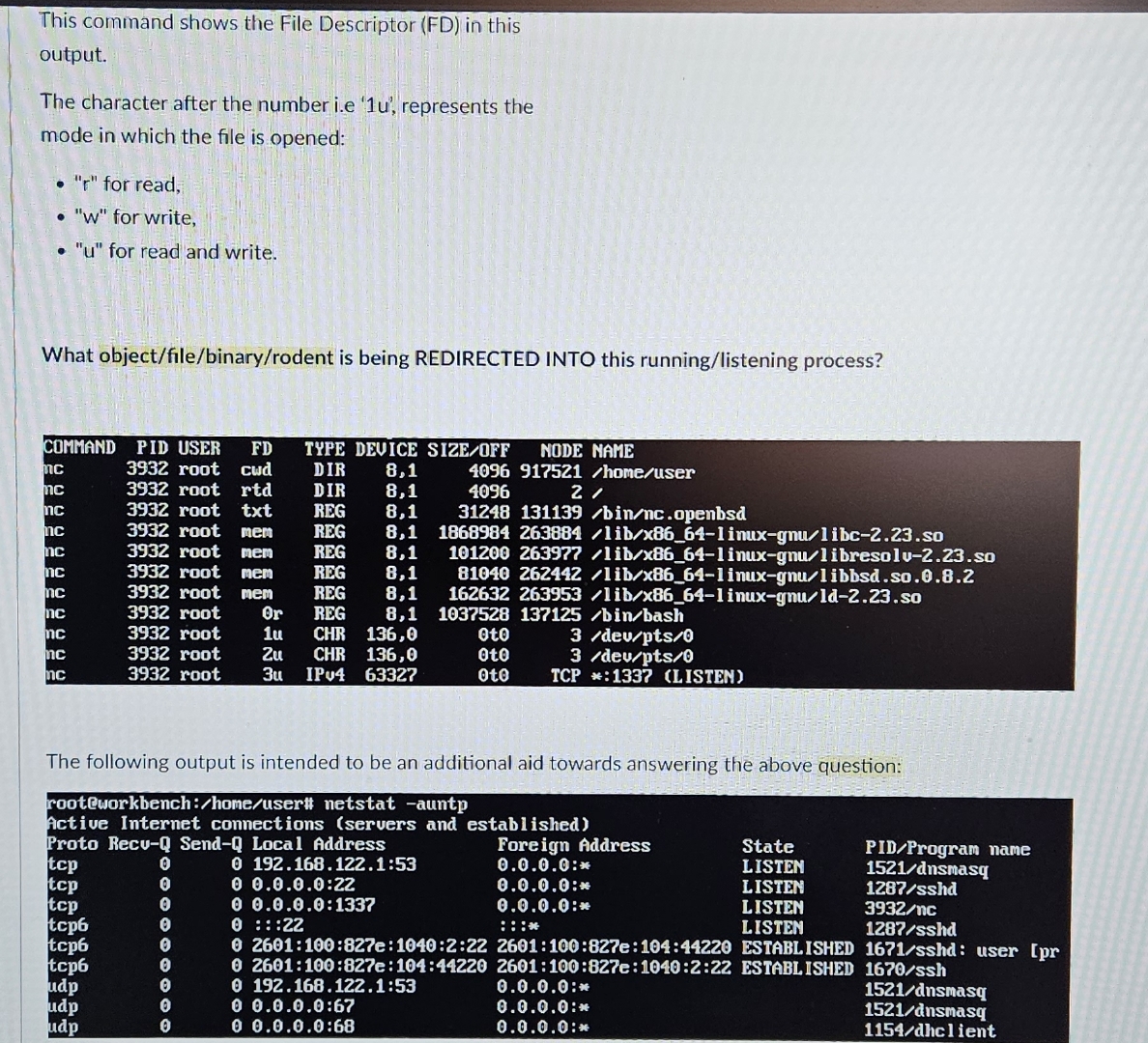Solved This command shows the File Descriptor (FD) ﻿in this | Chegg.com