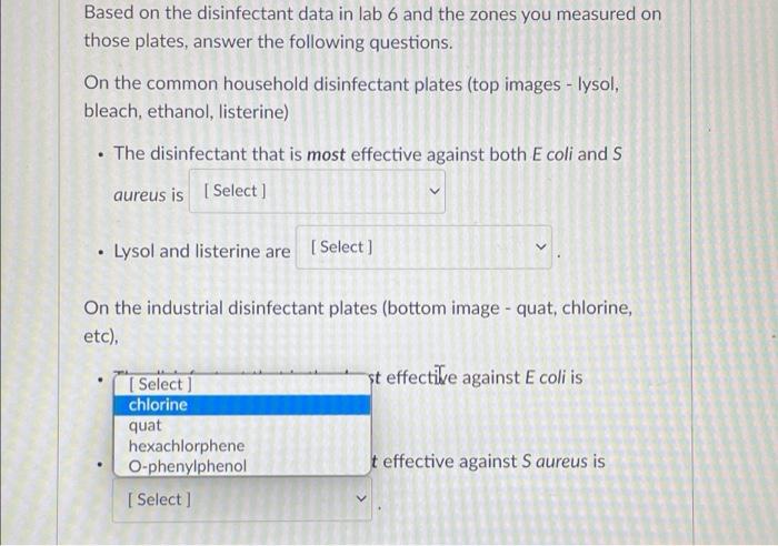 Solved Based on the disinfectant data in lab 6 and the zones | Chegg.com