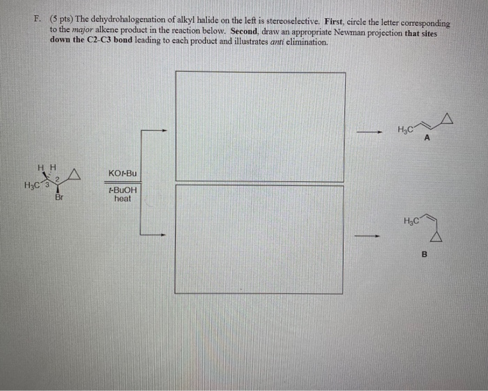 Solved F. (5 pts) The dehydrohalogenation of alkyl halide on | Chegg.com