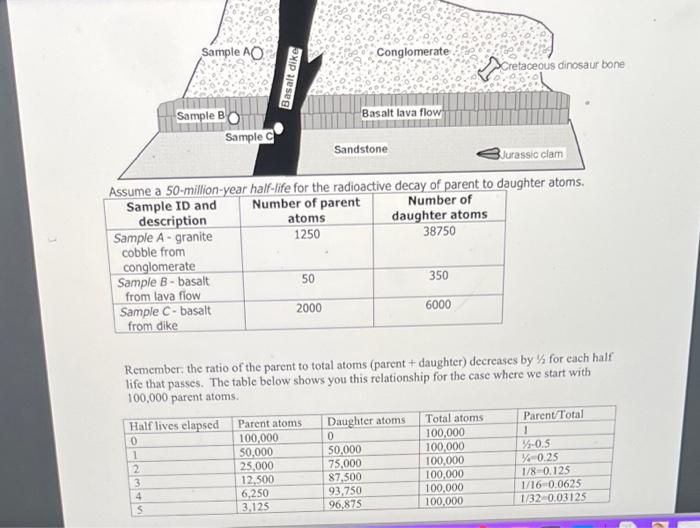 Solved Given the number of parent and daughter atoms for | Chegg.com