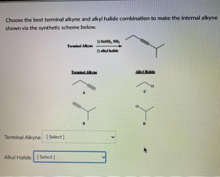 Solved Choose the best terminal alkyne and alkyl halide | Chegg.com