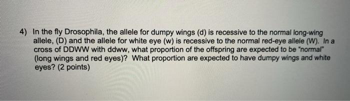 Solved 4) In the fly Drosophila, the allele for dumpy wings | Chegg.com