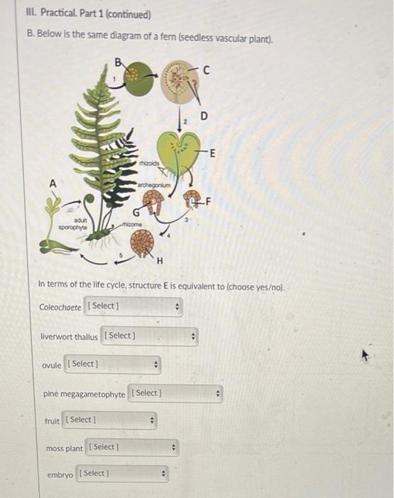 Solved III. Practical. Part 1 (continued) B. Below is the | Chegg.com