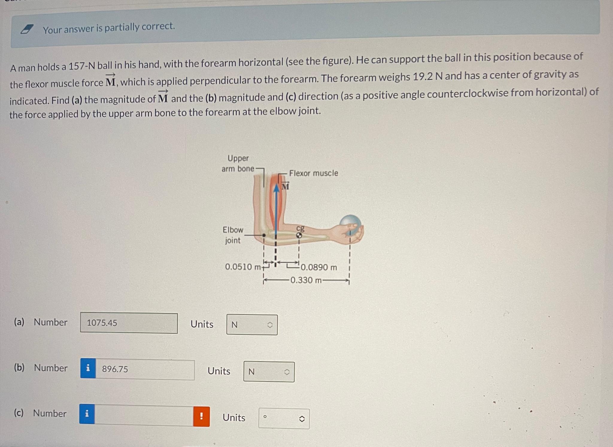 Solved Your answer is partially correct.A man holds a 157-N | Chegg.com