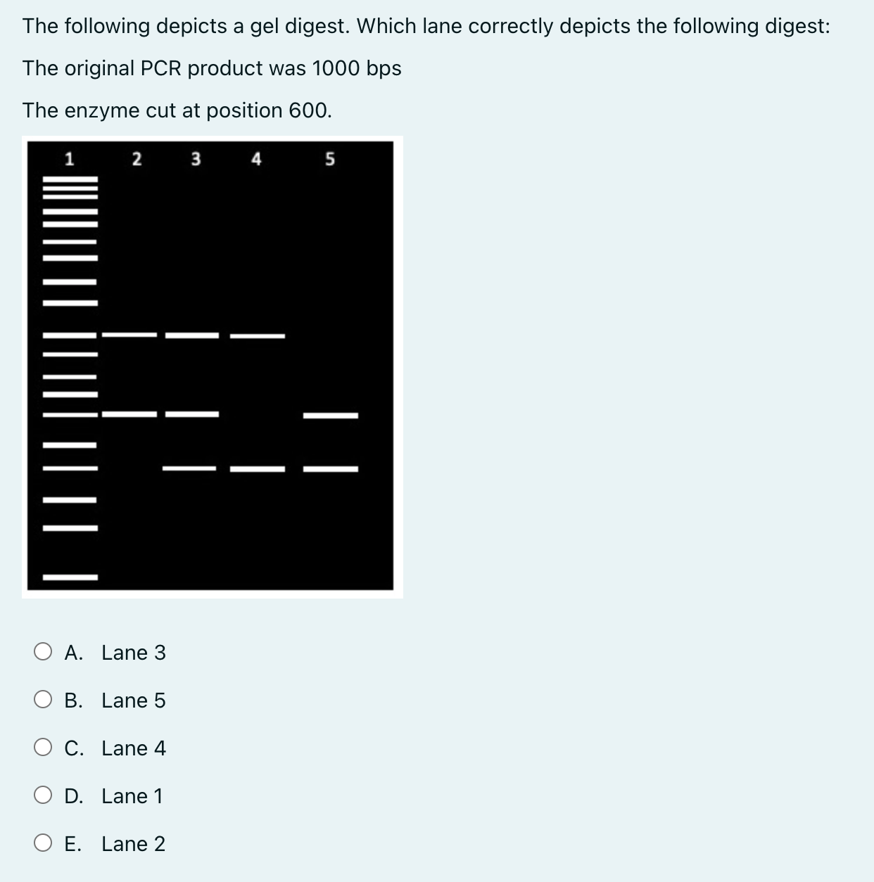 Solved The following depicts a gel digest. Which lane | Chegg.com
