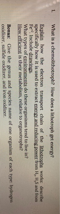 Solved What is a chemolithotroph? How does a lithotroph get | Chegg.com