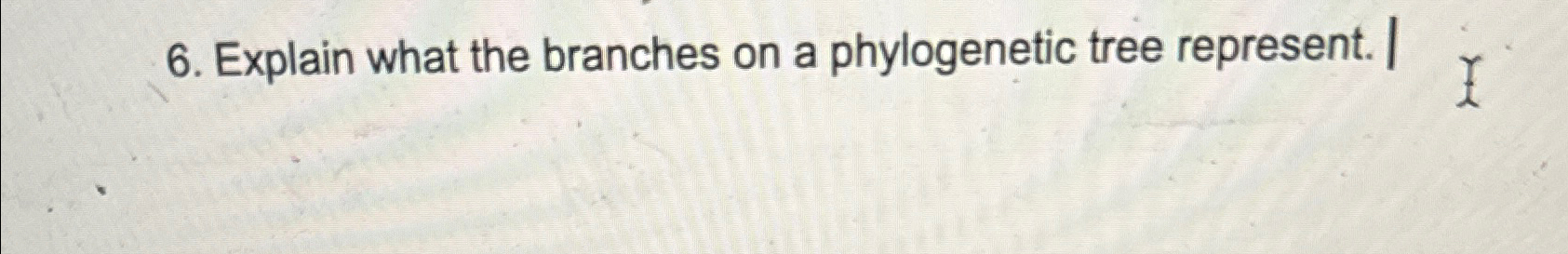 Solved Explain what the branches on a phylogenetic tree | Chegg.com