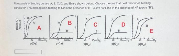 Solved Five panels of binding curves (A, B, C, D, and E) are | Chegg.com