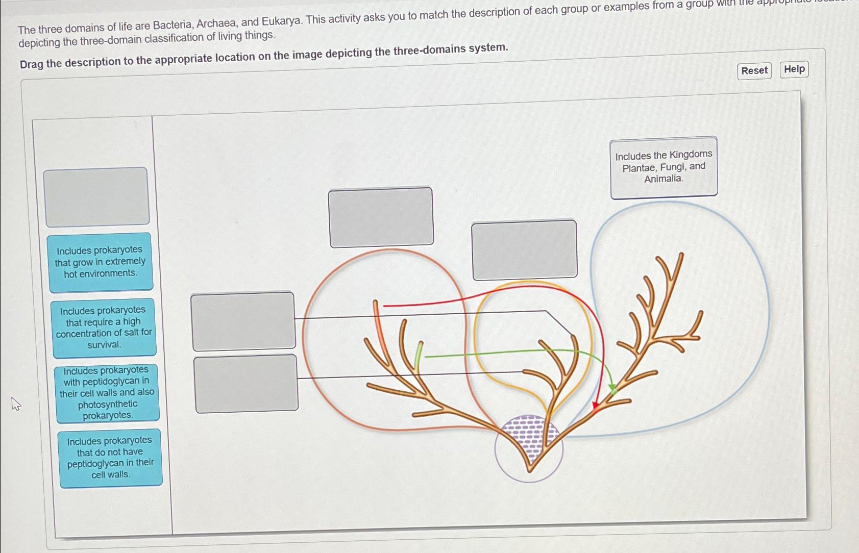 Solved The three domains of life are Bacteria, Archaea, and | Chegg.com