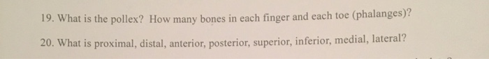 Solved 19. What is the pollex? How many bones in each finger | Chegg.com