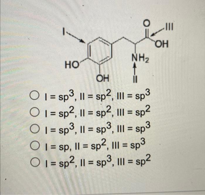 Solved I=sp3,II=sp2,III=sp3I=sp2,II=sp2,III=sp2I=sp3,II=sp3, | Chegg.com