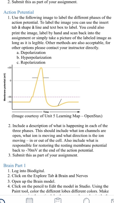 Solved 2. Submit this as part of your assignment. Action | Chegg.com