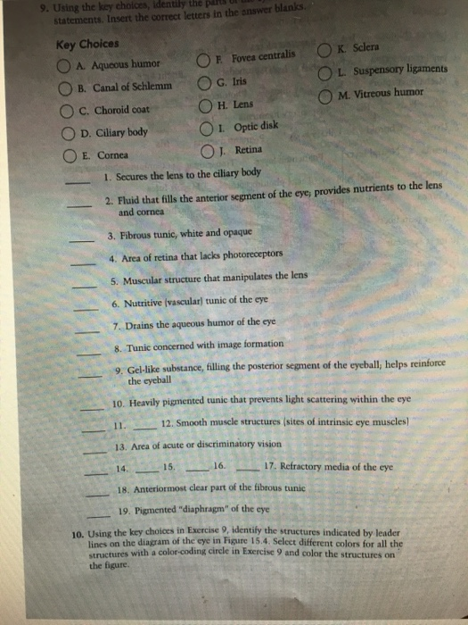 Solved 9. Using the key choices, identily the parts | Chegg.com