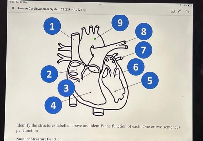 Solved 19:03 Sat 27 May X Human Cardiovascular System | Chegg.com