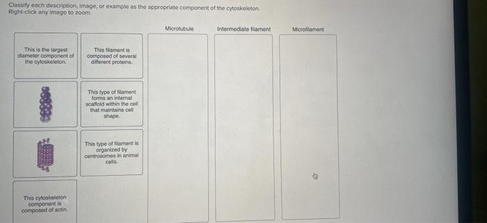Solved Classity each description, image, or example as the | Chegg.com