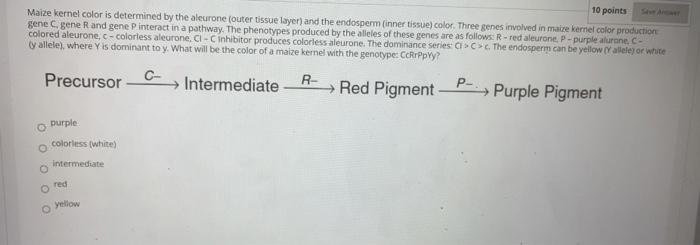 Solved 10 points Maize kernel color is determined by the | Chegg.com