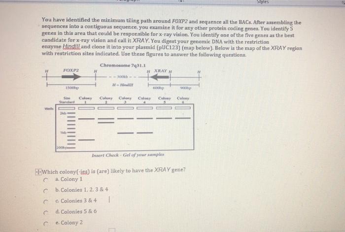 Solved Styles You have identified the minimum tiling path | Chegg.com