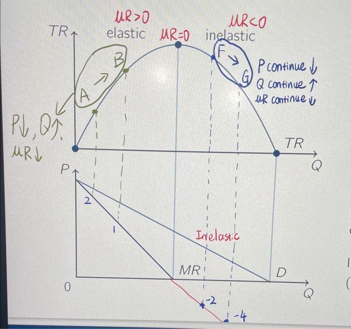 Solved Previously I guessed that a larger MR means a larger | Chegg.com