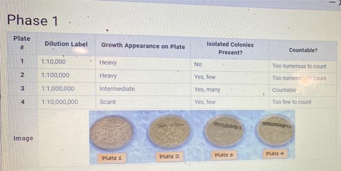Solved you discover that the plate you selected had only | Chegg.com