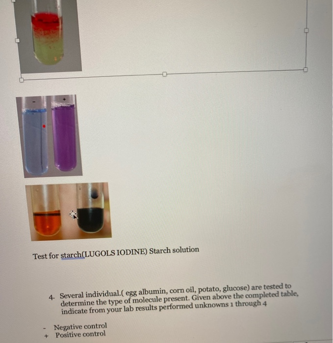 Solved Test for starch(LUGOLS IODINE) Starch solution 4. | Chegg.com