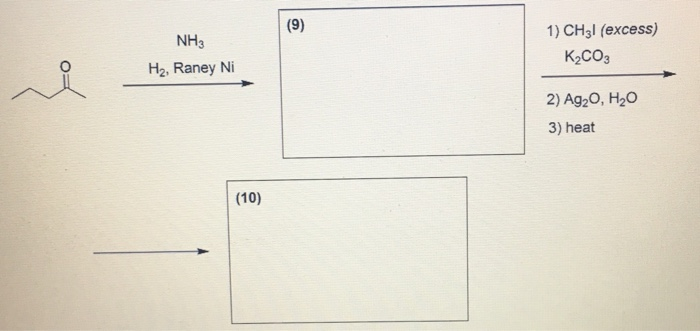 Solved NH3 1) CH3l (excess) K2CO3 H2, Raney Ni 2) Ag2O, H20 | Chegg.com