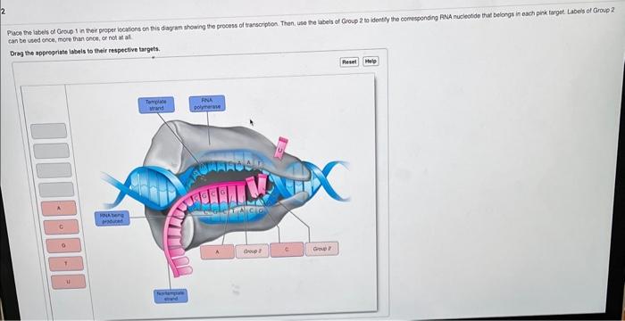 Solved can be ueed ence, more than once, or not at all. | Chegg.com
