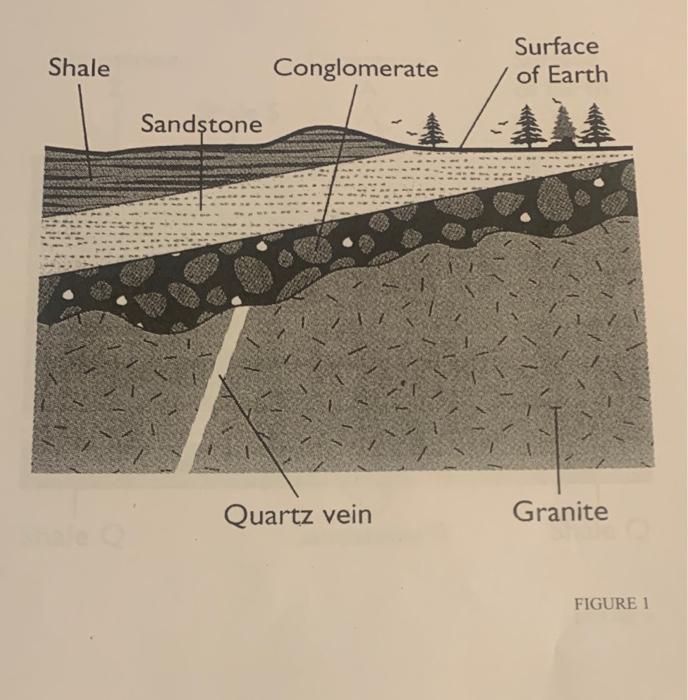 Solved Shale Conglomerate Surface of Earth va Sandstone | Chegg.com