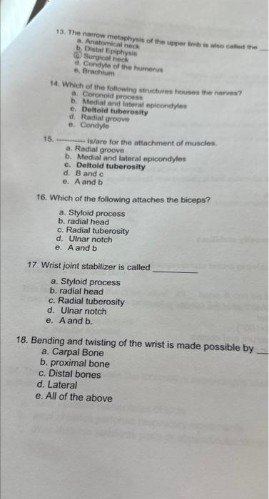 13. The narrow metaphysis of the upper limb is also | Chegg.com
