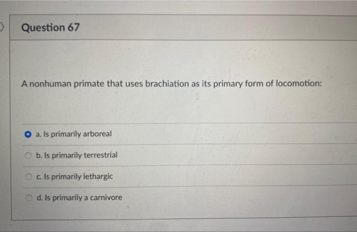 A nonhuman primate that uses brachiation as its | Chegg.com