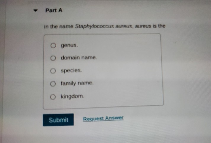 Solved Which of the following represents the correct format | Chegg.com