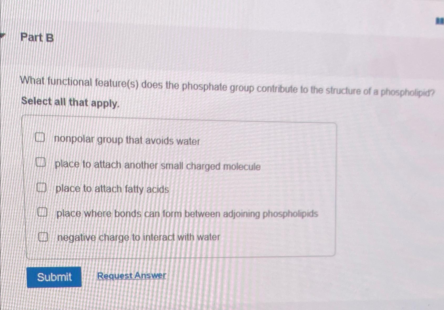 Solved Part BWhat functional feature(s) ﻿does the phosphate | Chegg.com
