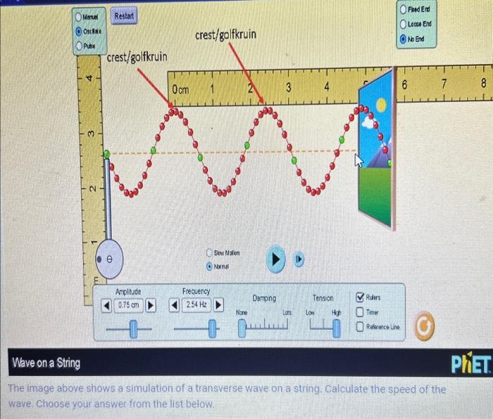 Solved The image above shows a simulation of a transverse | Chegg.com