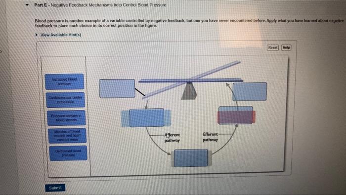 Solved Part E - Negative Feedback Mechanisms help Control | Chegg.com