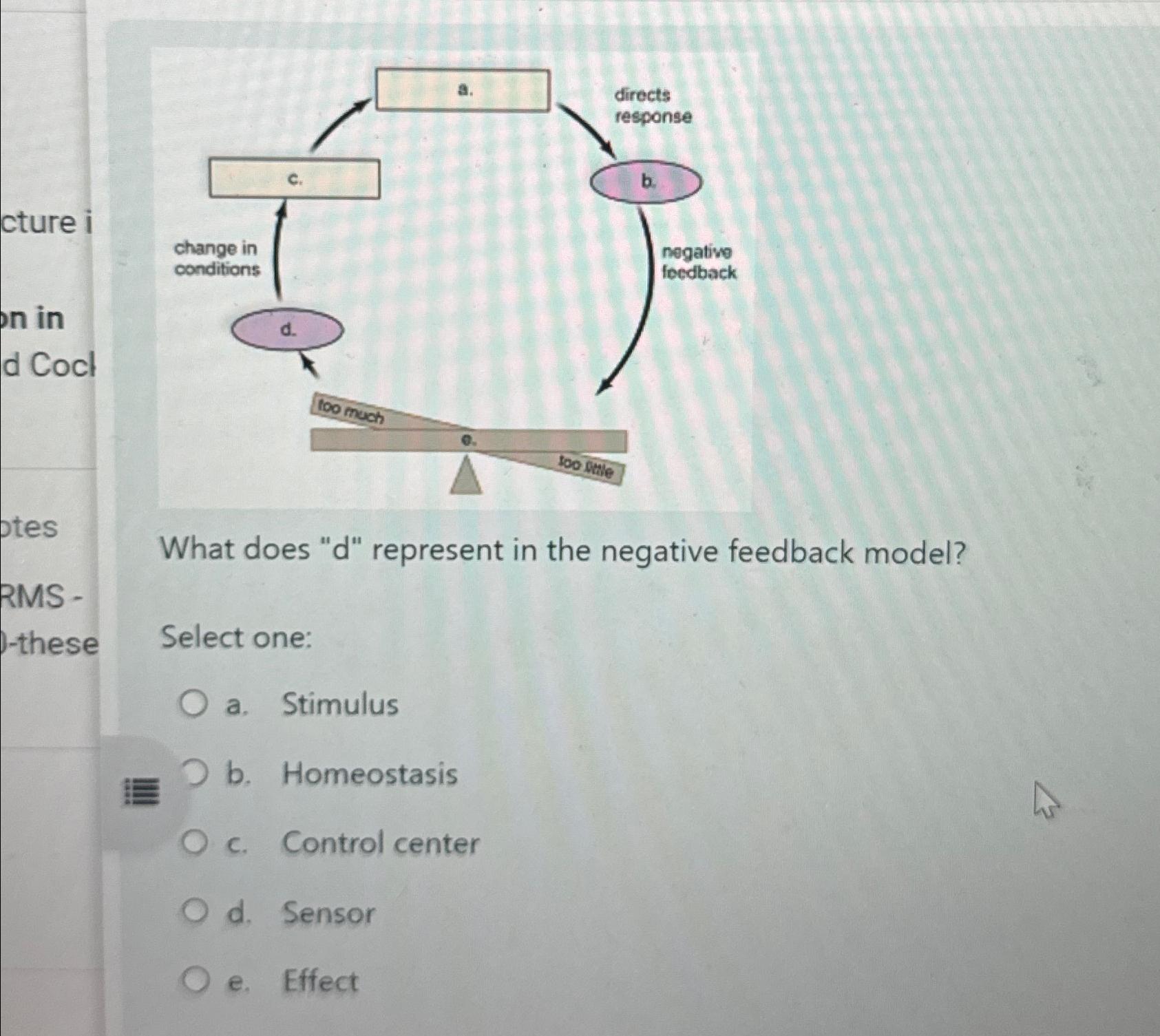 Solved What does " d " ﻿represent in the negative feedback | Chegg.com