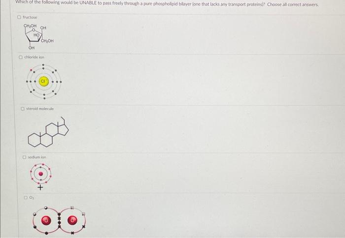 Solved What is true of the three molecules pictured below? | Chegg.com