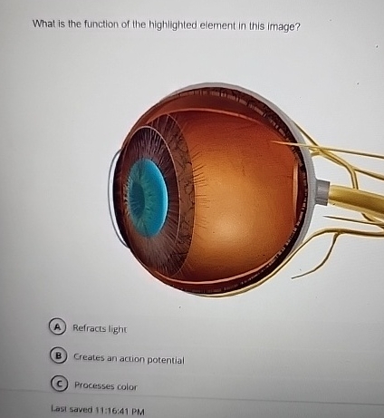 Solved What is the function of the highlighted element in | Chegg.com