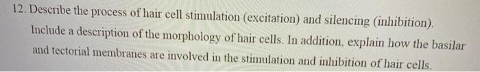 Solved 12. Describe the process of hair cell stimulation | Chegg.com
