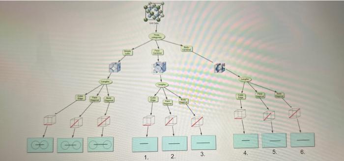 Solved Fill in the empty blanks on the concept map with the | Chegg.com